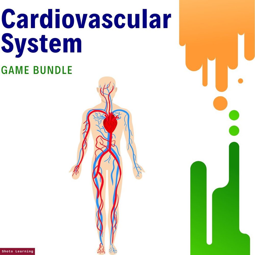 Cardiovascular System Word Scramble - Fun Learning Worksheet