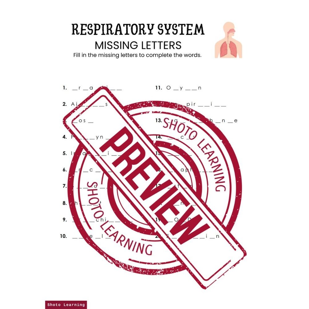 Respiratory System Bundle: Anatomy, Physiology & Diseases