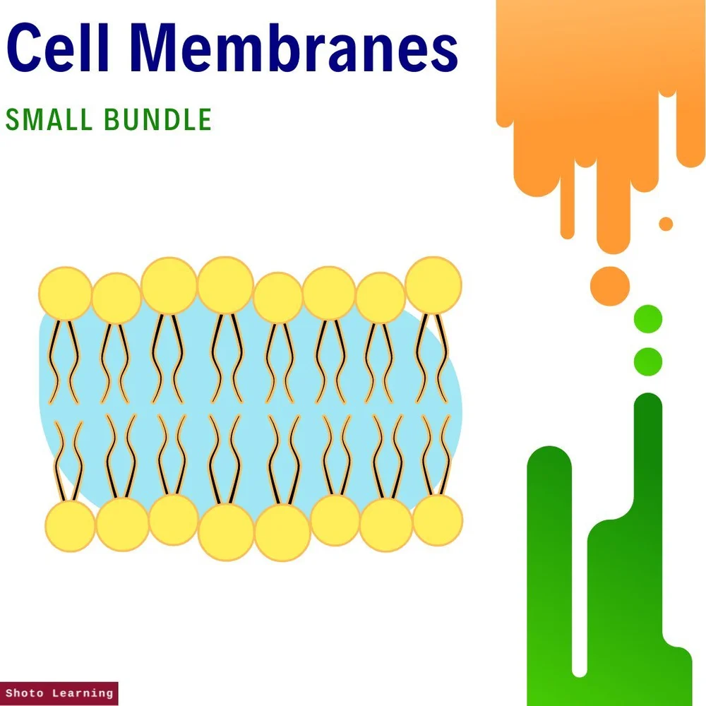 Cell Membrane Missing Letter Worksheet | Fun Biology Learning