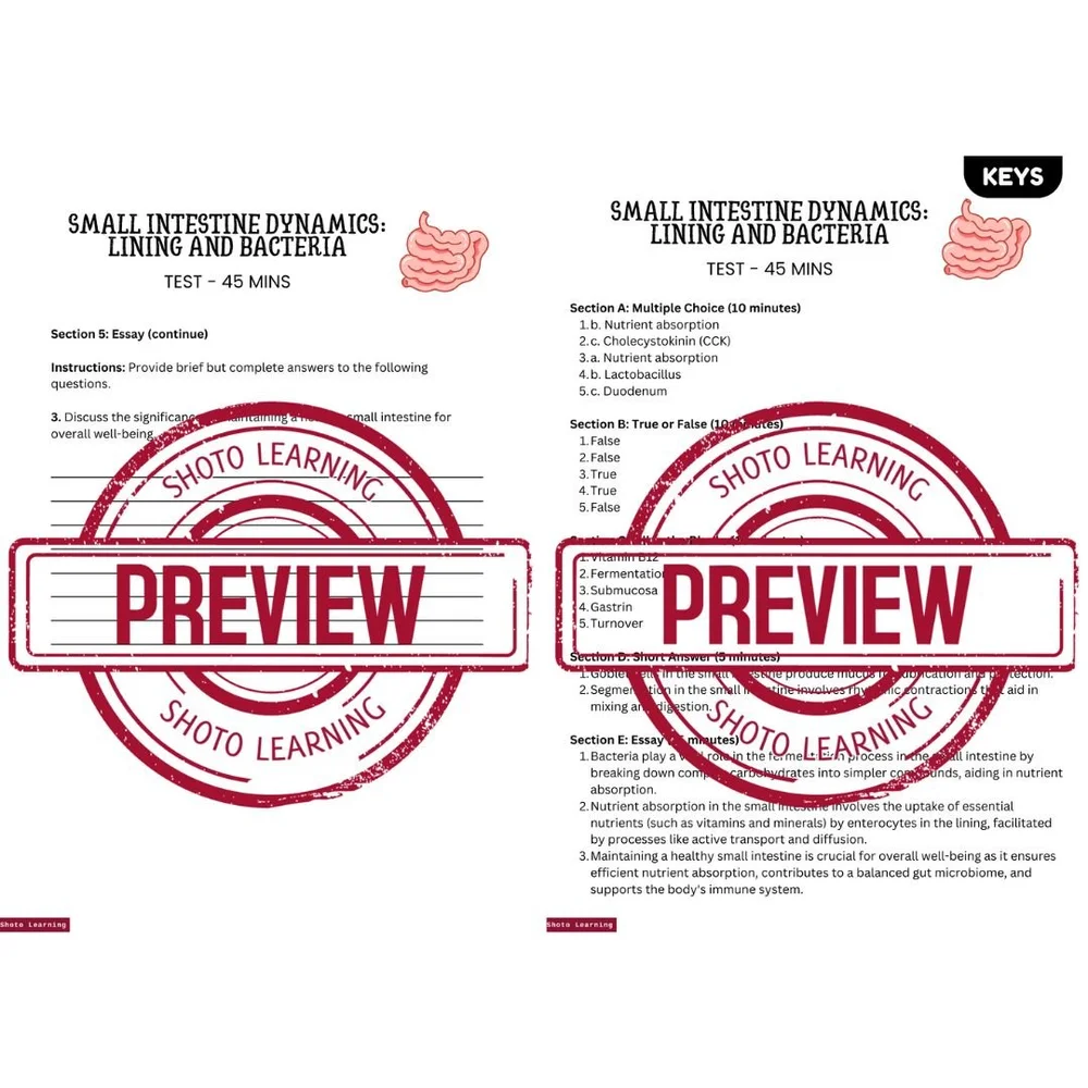 Small Intestine Worksheets: Anatomy & Bacteria Dynamics