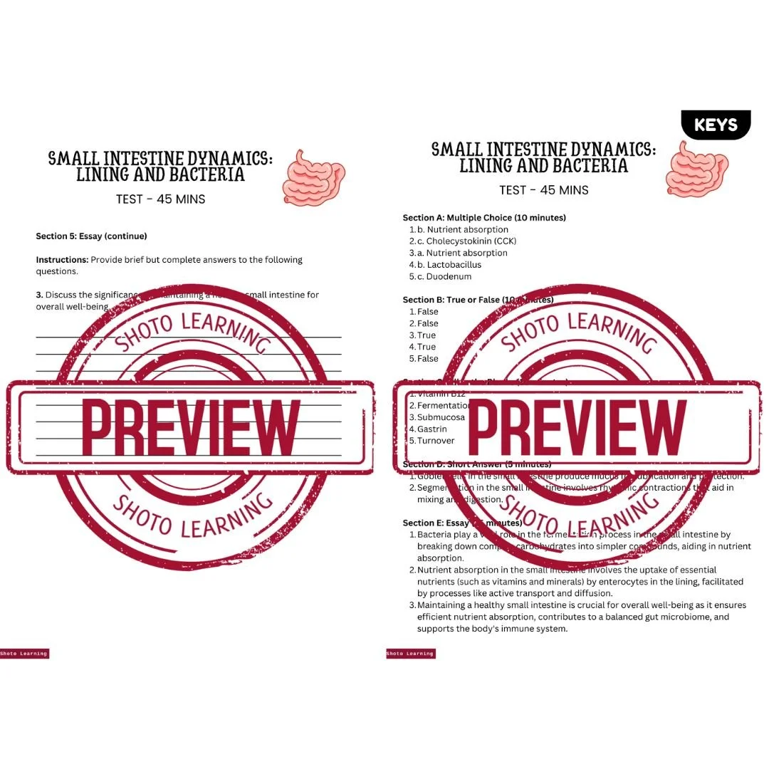 Small Intestine Word Search: Lining & Bacteria Puzzle