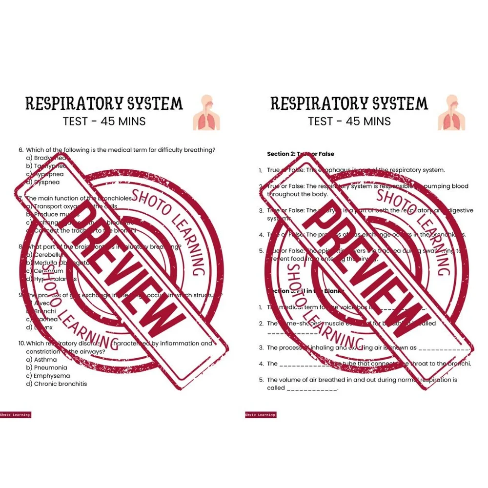 Respiratory System Worksheet: Reading & Comprehension