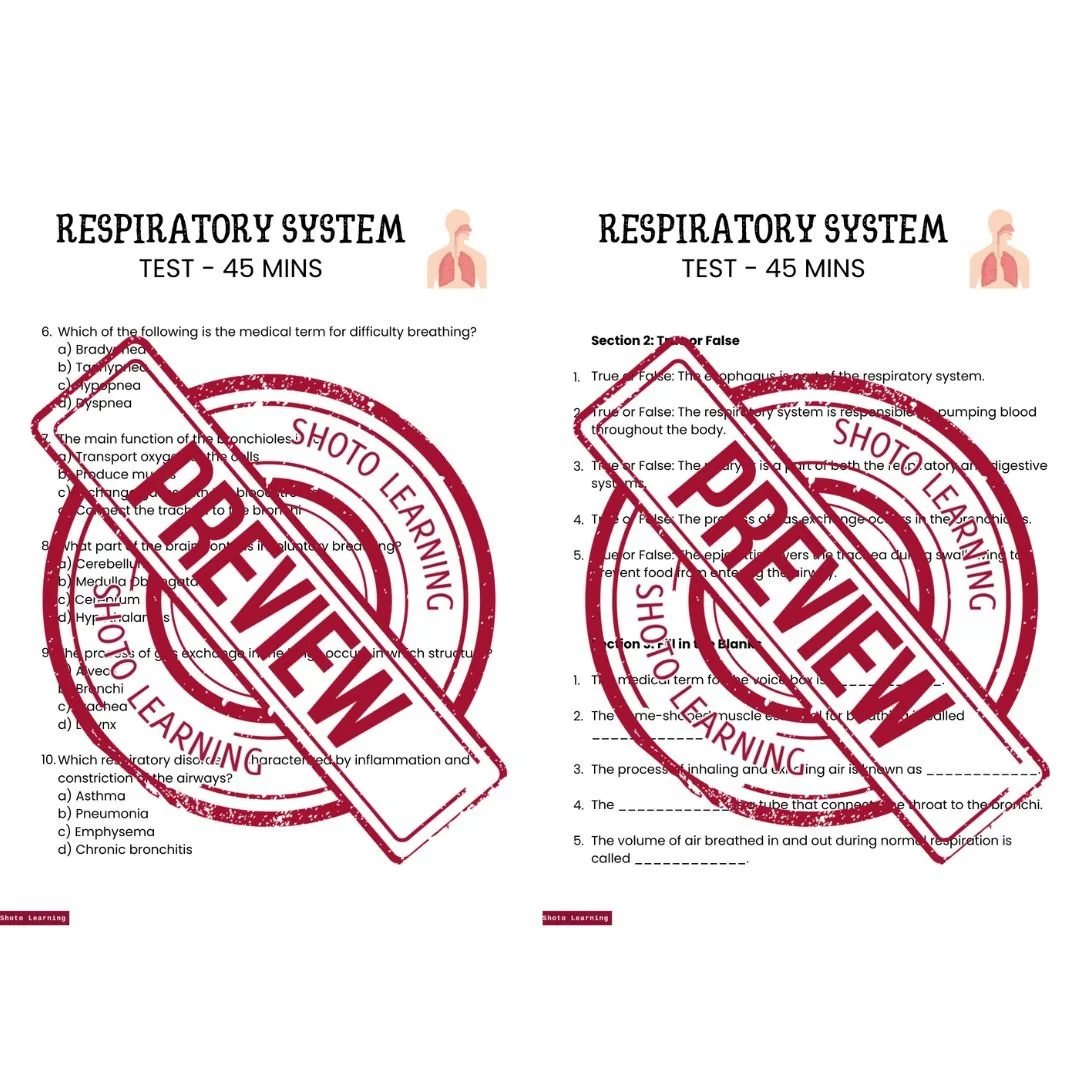 Respiratory System Matching Worksheet: A Match Made in Lungs