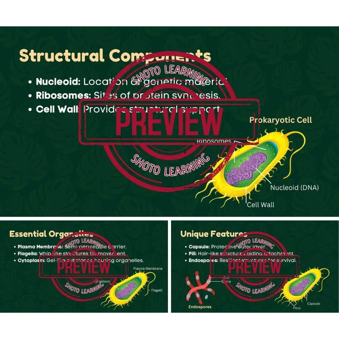 Prokaryotic Cell Q&A Mastery: 20 Questions & Answers