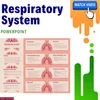 Respiratory System Diagram: Fill in the Blanks and Learn