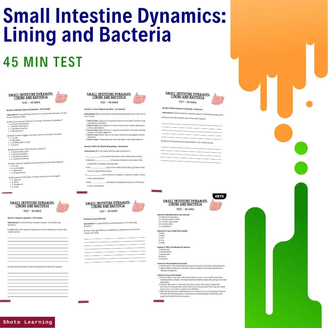 Small Intestine Worksheets: Anatomy & Bacteria Dynamics