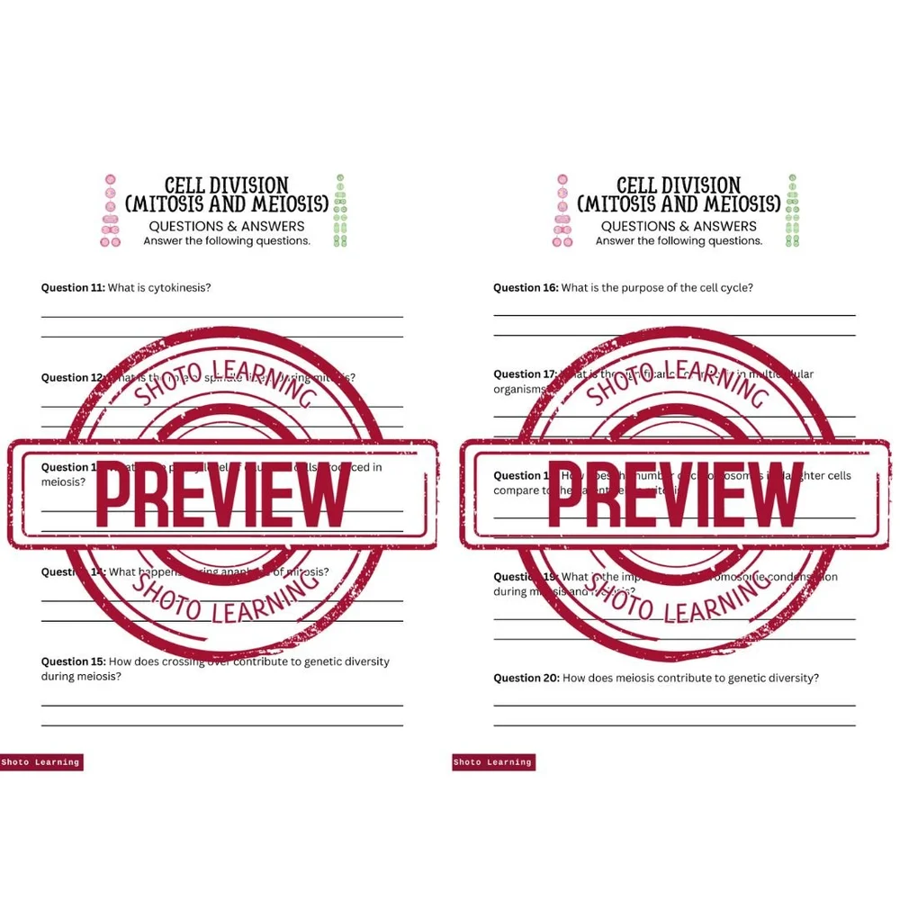 Mitosis vs Meiosis Poster: Visual Guide to Cell Division