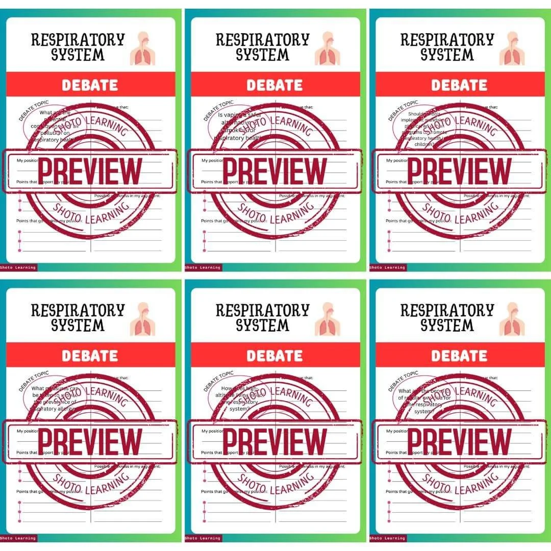 Respiratory System Poster: Learn Anatomy & Function | Free Download