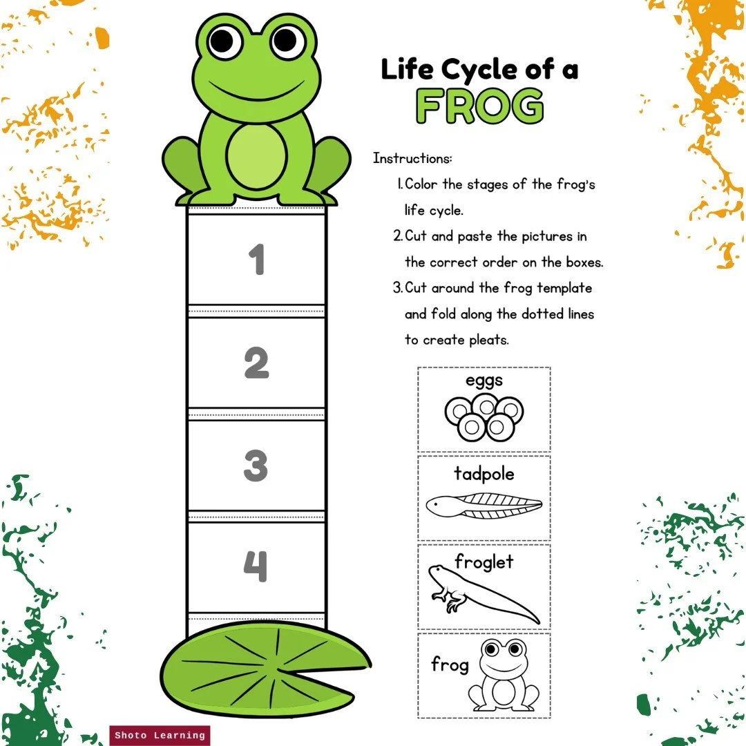 Frog Life Cycle Reading Worksheet with Questions & Answers