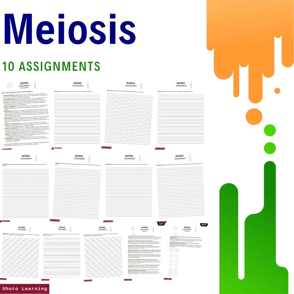 Interactive Meiosis Game Worksheet Bundle | Fun Learning Tools