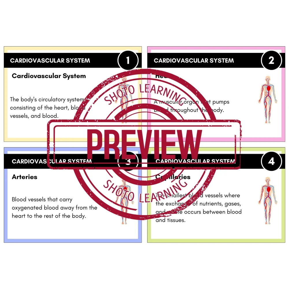 CARDIOVASCULAR SYSTEM SCIENCE ACTIVITY - BUNDLE WORD FIND SCRAMBLE ...