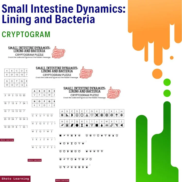 Small Intestine Word Search: Lining & Bacteria Puzzle