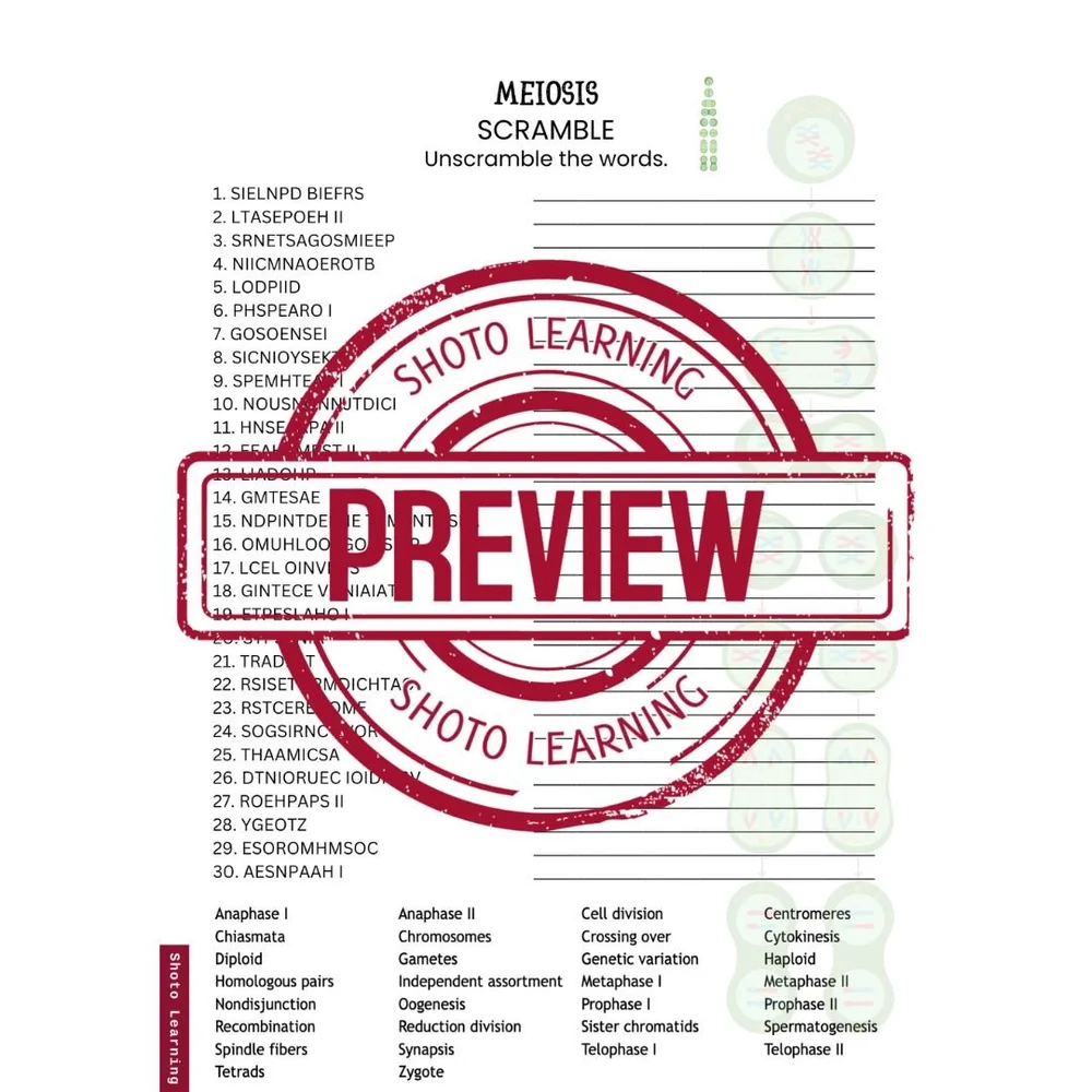 Meiosis Process Poster – Visual Cell Division Guide | PDF Download