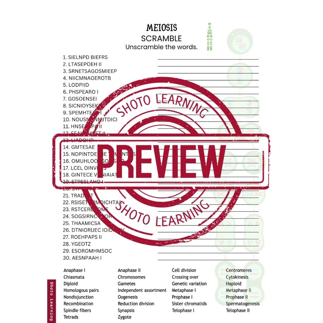 Meiosis Process Poster – Visual Cell Division Guide | PDF Download