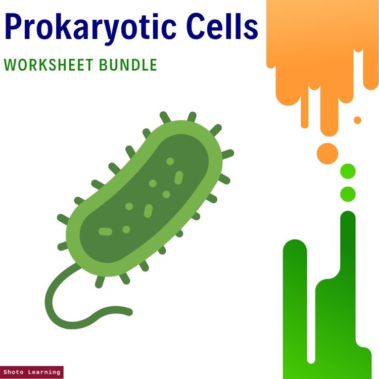 Prokaryotic Cell Q&A Mastery: 20 Questions & Answers