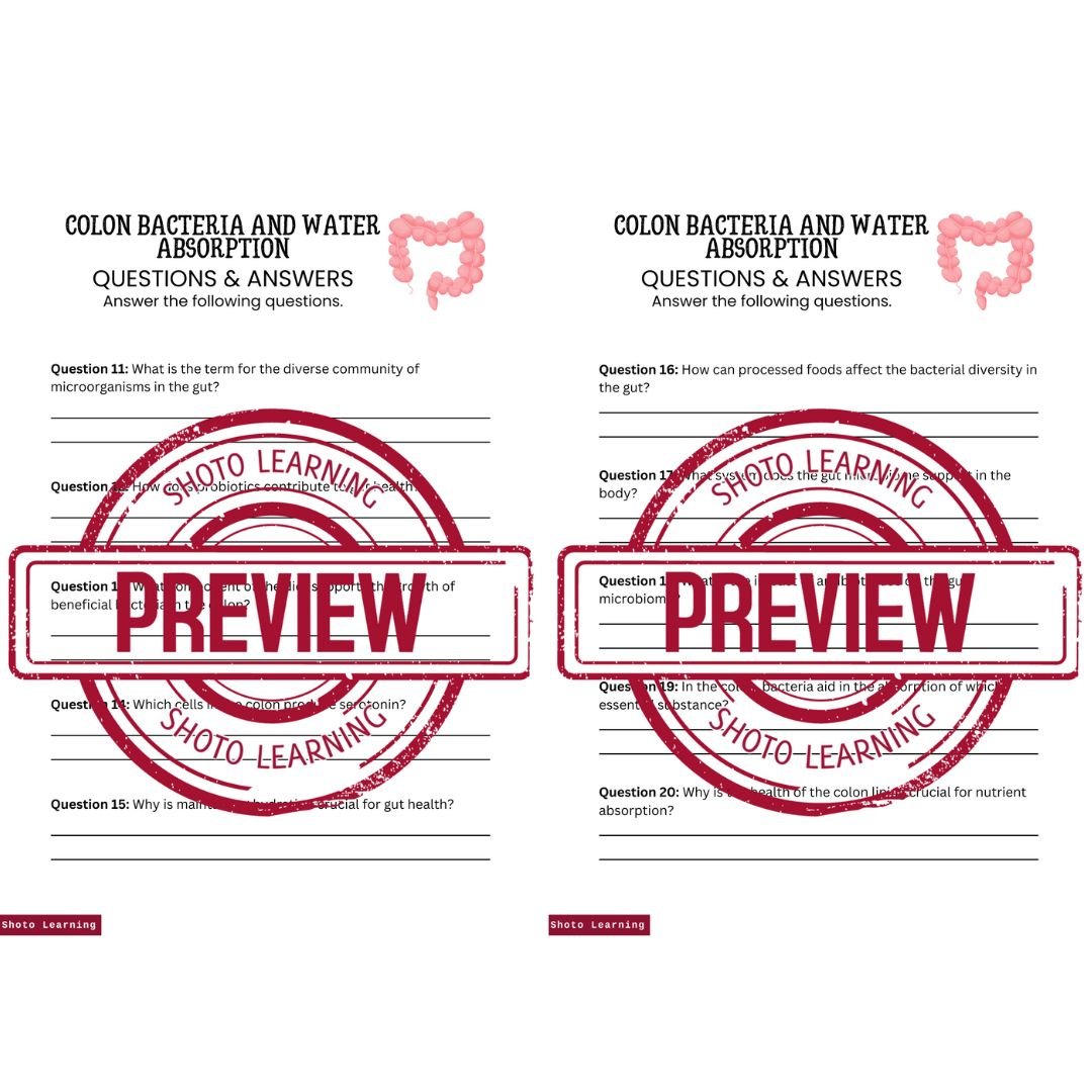 Colon Bacteria & Water Absorption Poster - Digestive System Insights