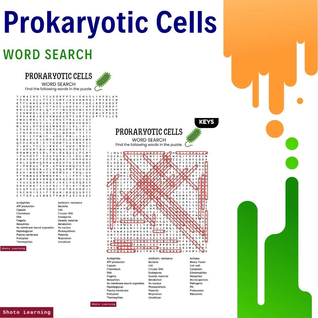 Prokaryotic Cells Lesson Plan: A Deep Dive into Microbiology