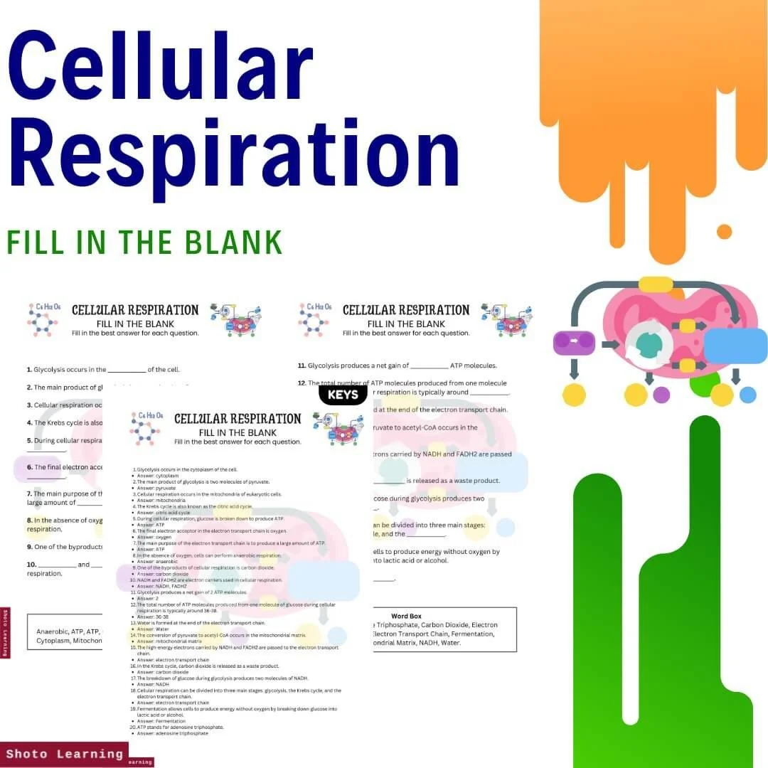 Cellular Respiration Worksheet with Word Box | Grades 6-12