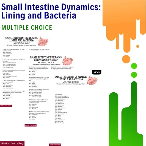 Small Intestine Word Search: Lining & Bacteria Puzzle