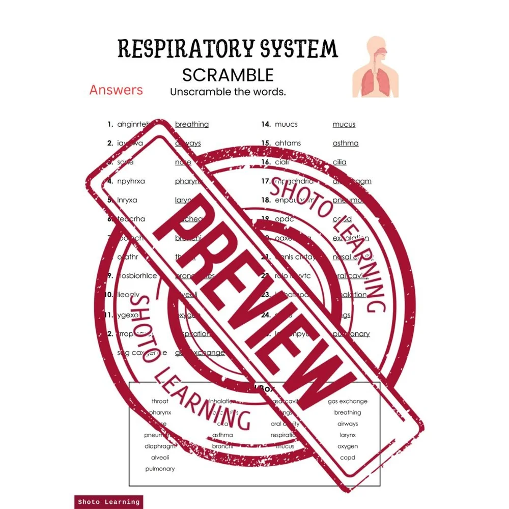 Respiratory System Diagram: Fill in the Blanks and Learn