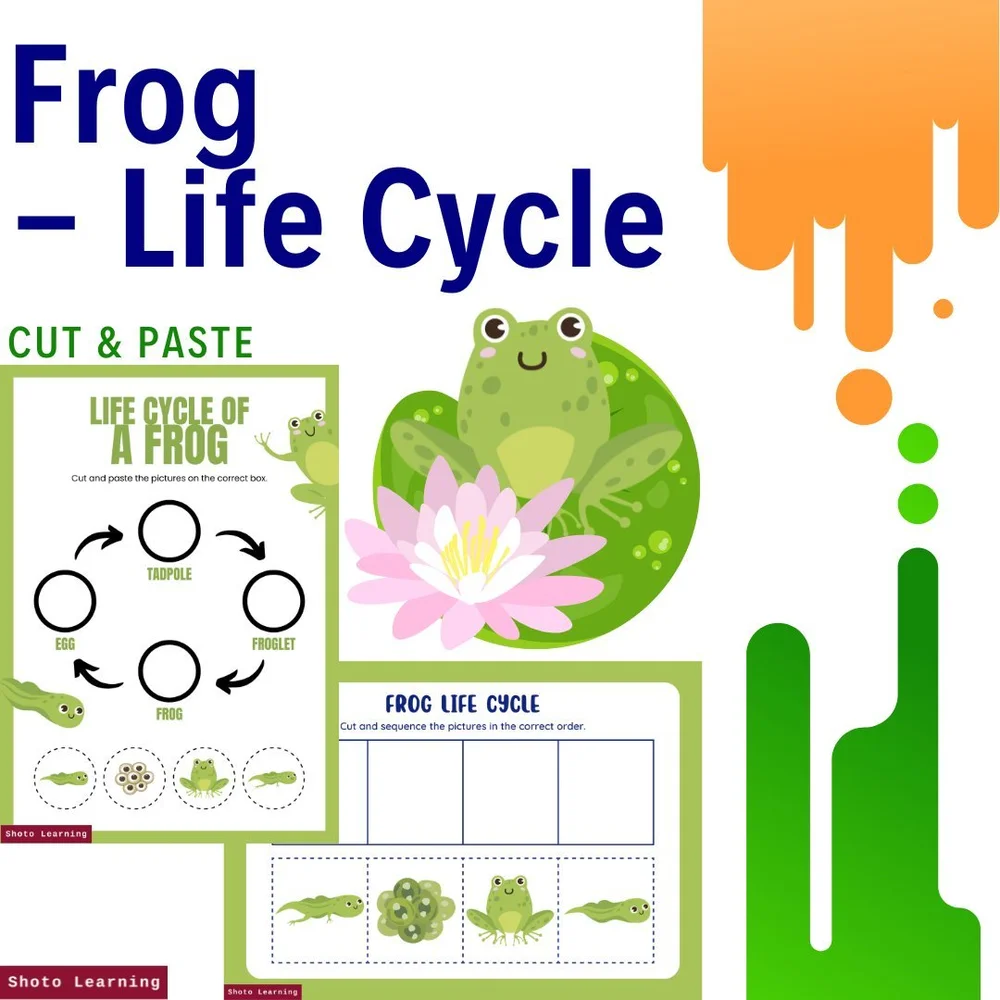 Fun and Educational Frog Life Cycle Crossword Worksheets