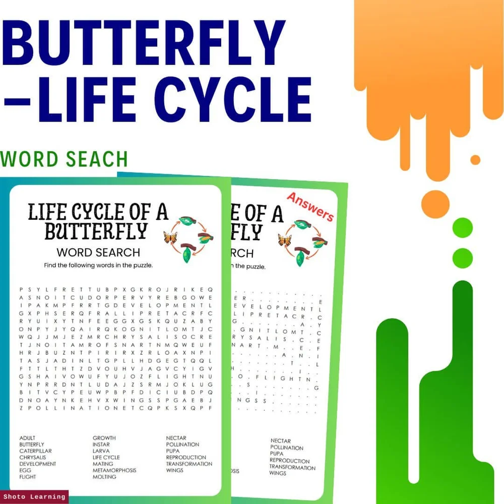 Butterfly Life Cycle Multiple Choice Worksheets Set of 20