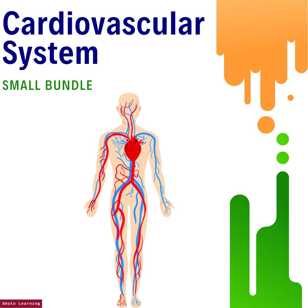 Cardiovascular System Matching Game: Fun Review for Students