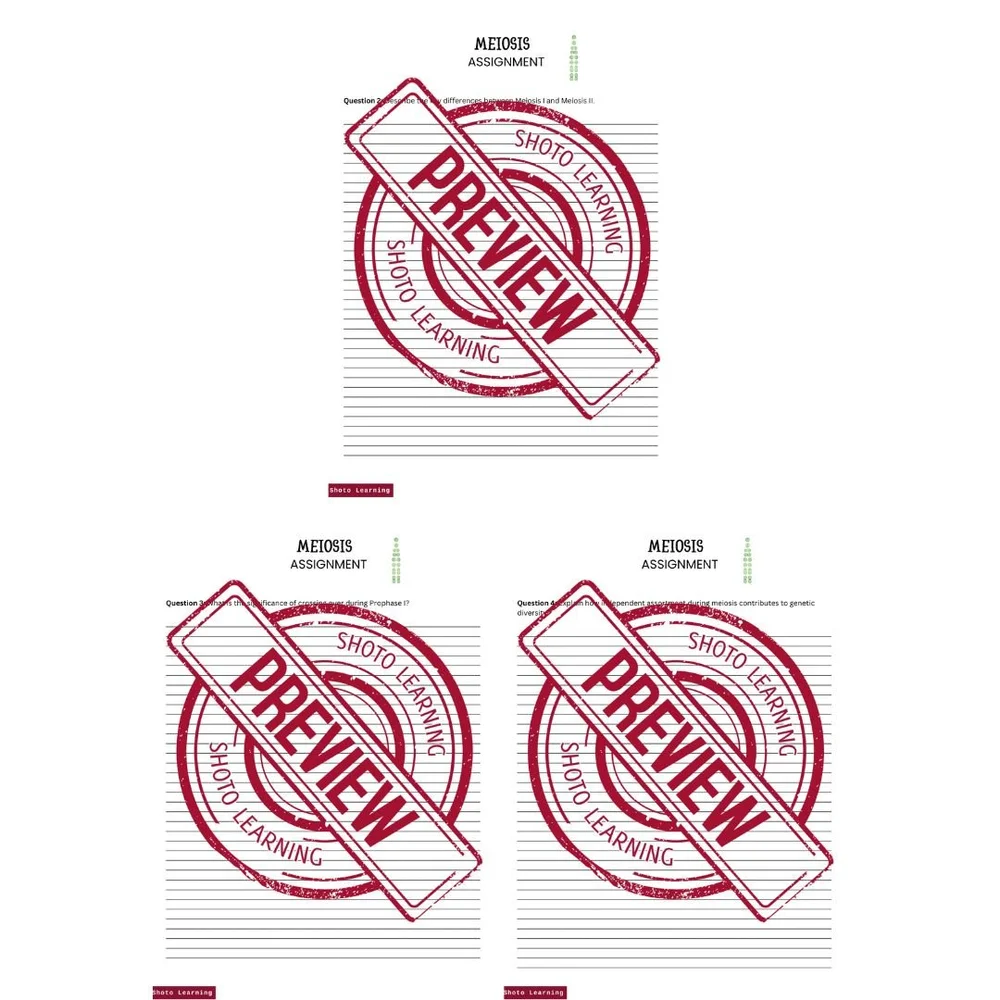 Interactive Meiosis Game Worksheet Bundle | Fun Learning Tools