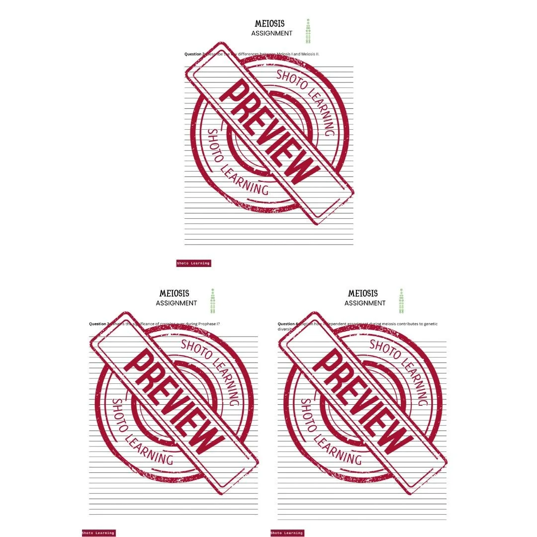 Interactive Meiosis Game Worksheet Bundle | Fun Learning Tools