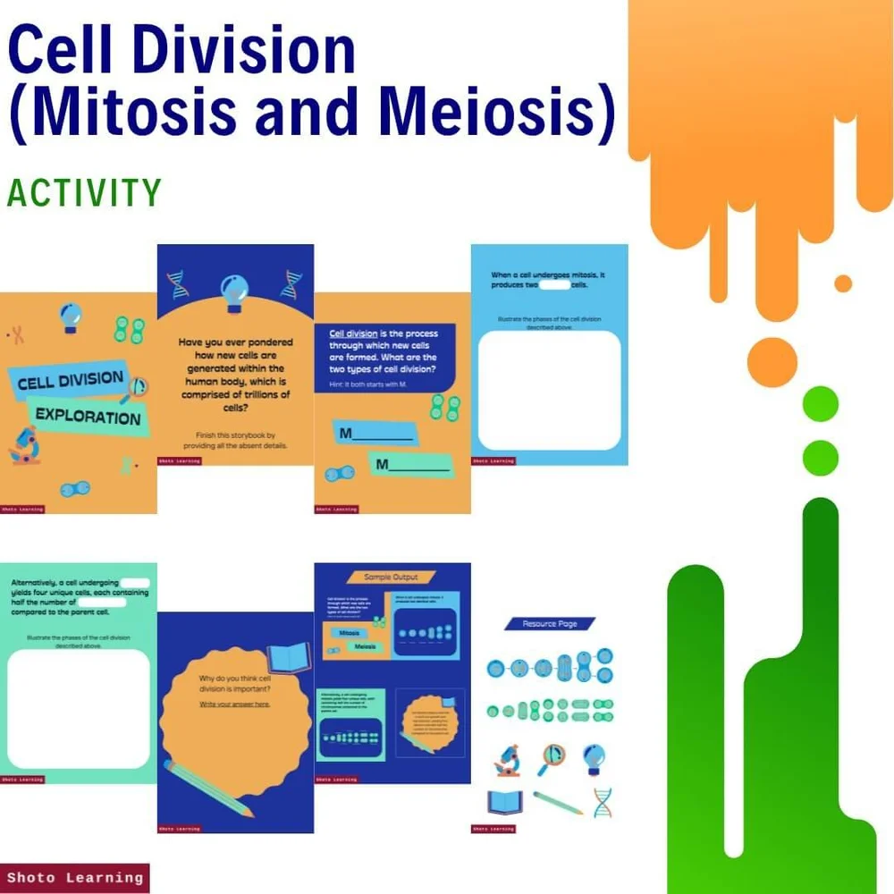 Mitosis vs Meiosis Poster: Visual Guide to Cell Division