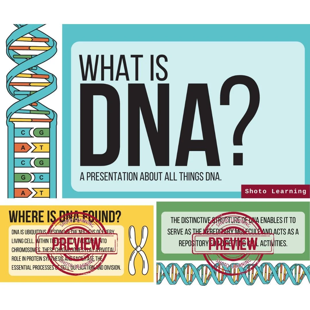 DNA Structure Worksheet: Engaging Exercises with Answers