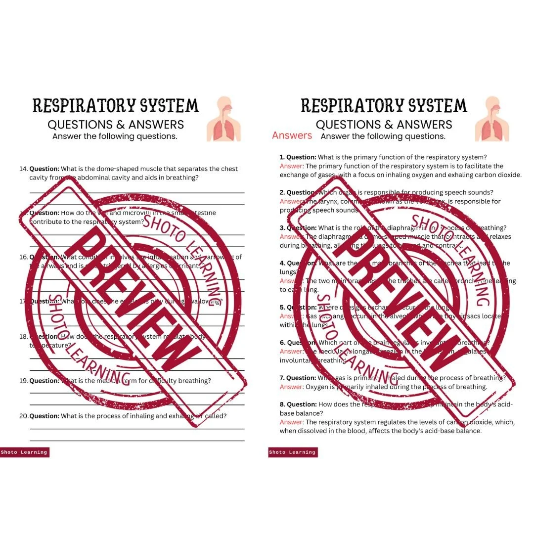 Respiratory System Diagram: Fill in the Blanks and Learn