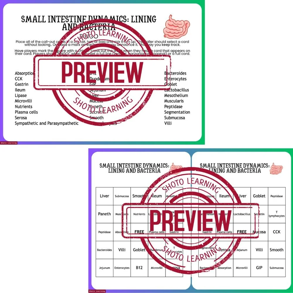 Small Intestine Quiz: Multiple Choice Worksheet & Answers