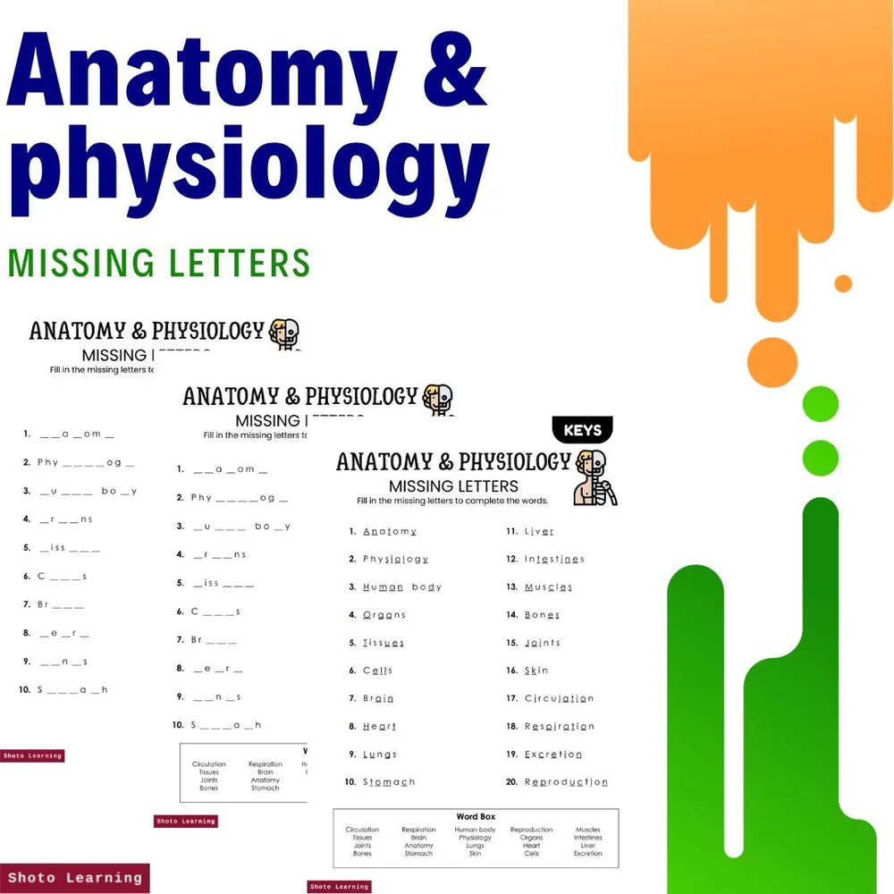 Anatomy & Physiology Poster: Human Body Systems Guide