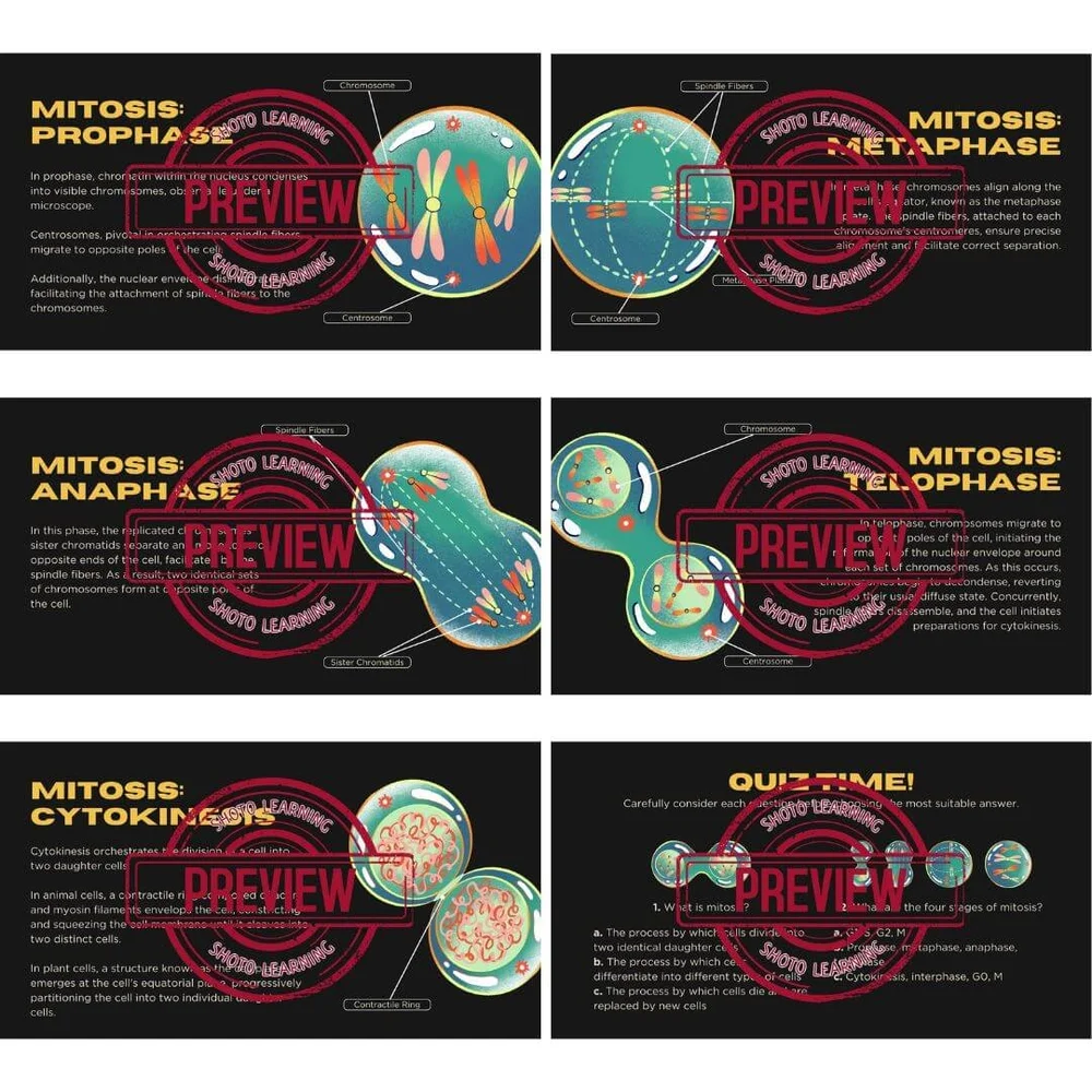 Mitosis Quest: Engaging Word Search Puzzle Worksheet for Students