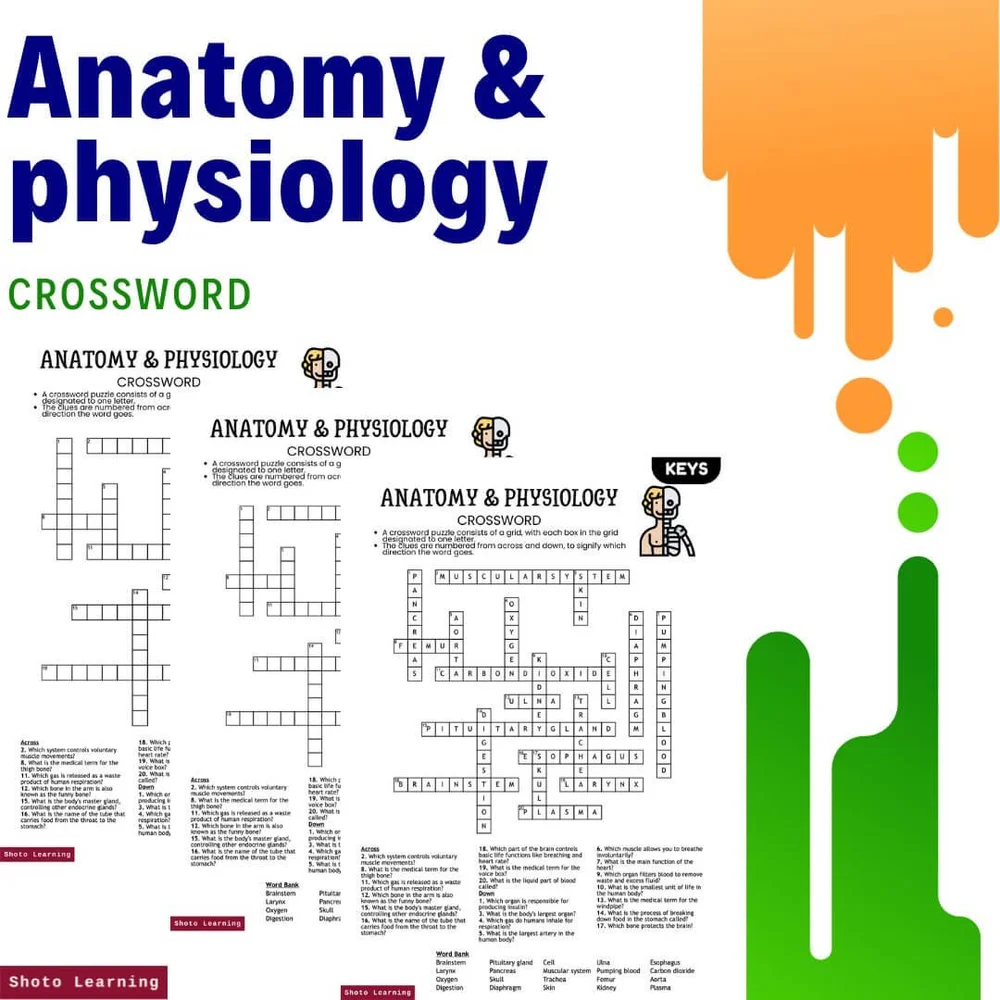 Anatomy & Physiology Word Search Puzzle: Learn Human Body Terms