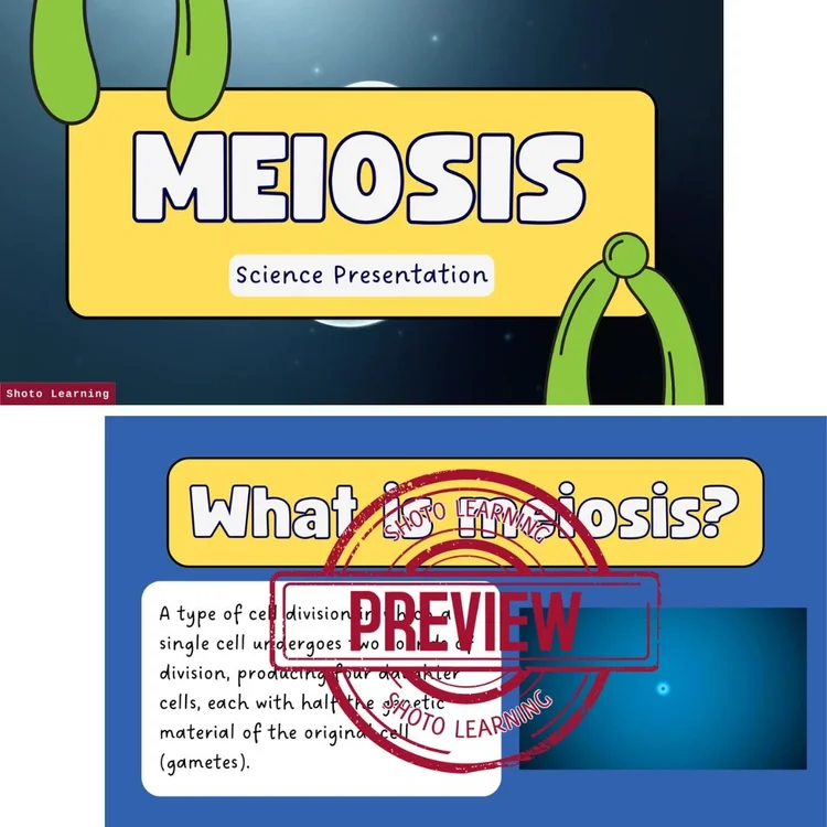 Meiosis Multiple Choice Worksheet | 20 Questions & Answer Key