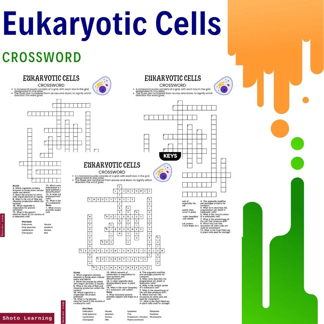 Cellular Wonders: Eukaryotic Cells PowerPoint & Speech Package