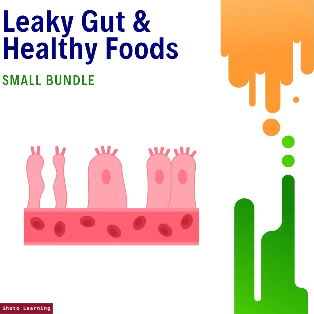 Gut Health Delights Poster: Boost Your Digestive Wellness