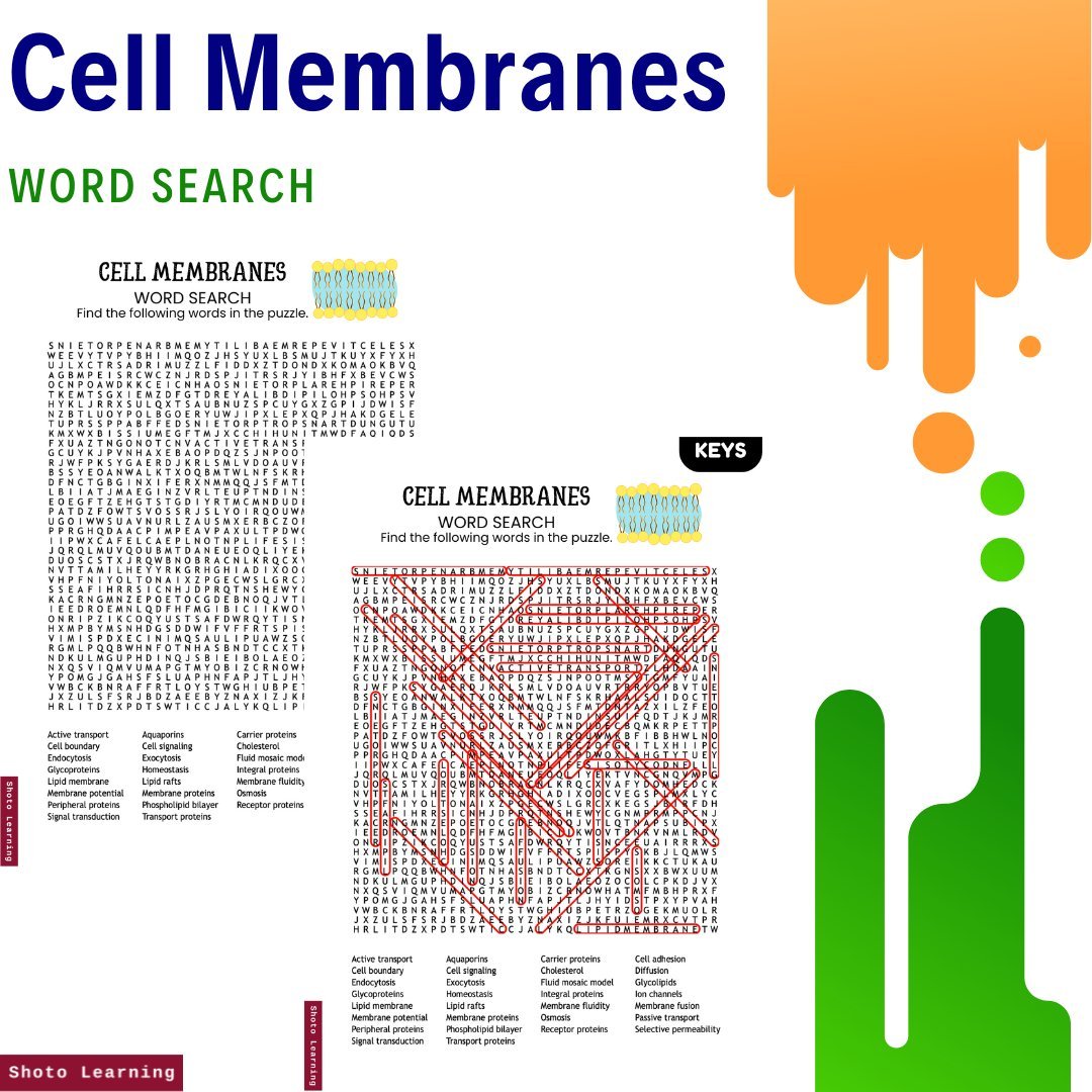 Explore Cell Membranes: Engaging Educational Poster PDF