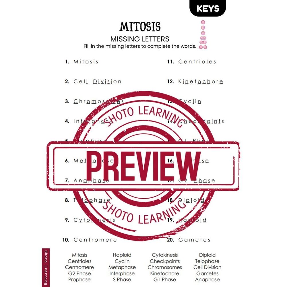 Unveiling Mitosis Poster - Educational Cell Division Chart