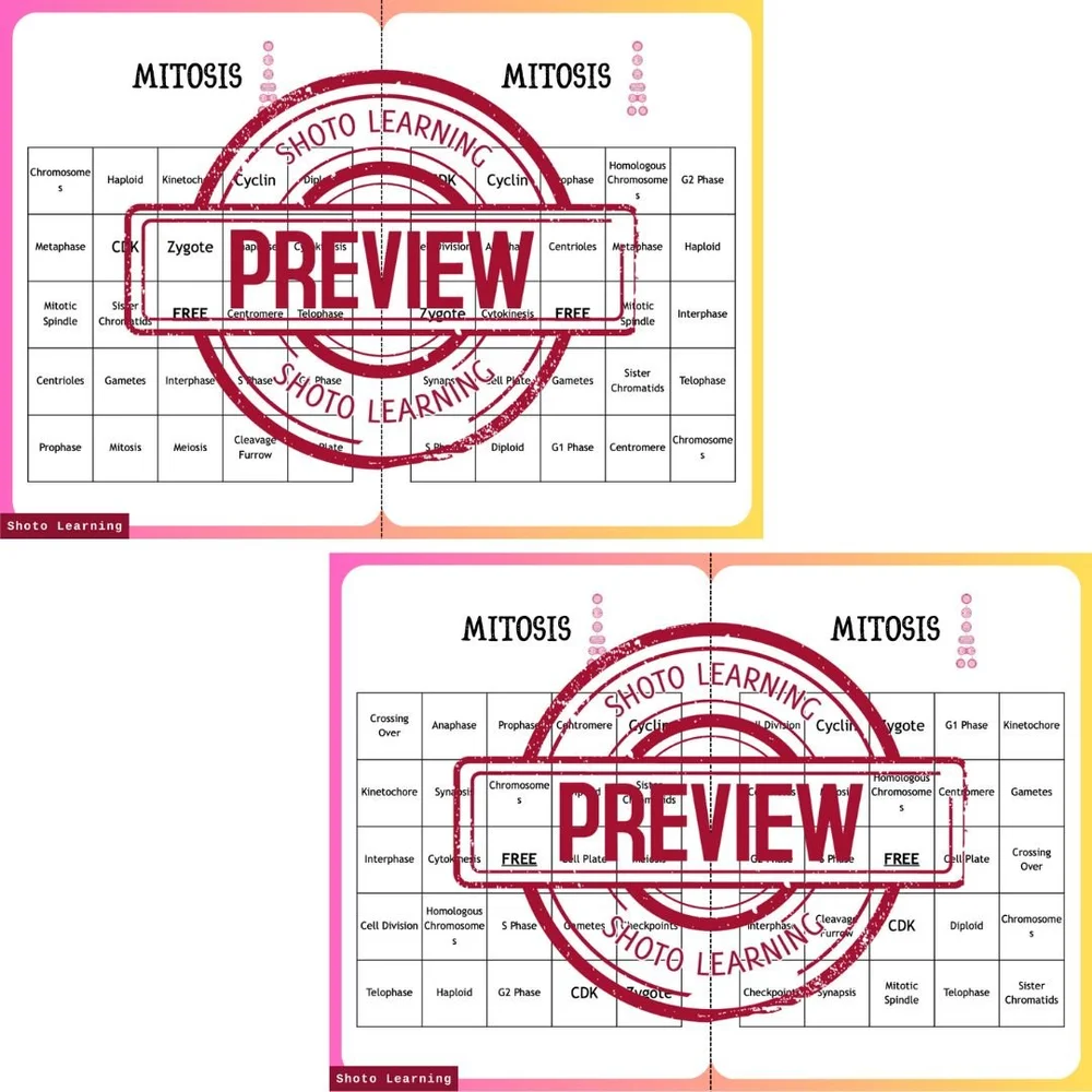 Mitosis Alphabetical Challenge: ABC Order Worksheet Set
