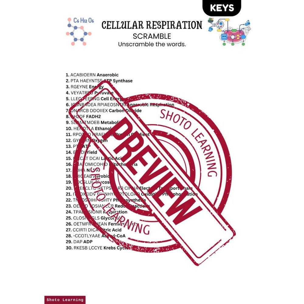 Cellular Respiration Label Worksheet | Word Box & Answer Key