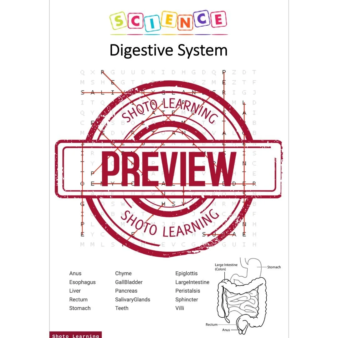 Digestive System Vocabulary Scramble Activity Worksheet