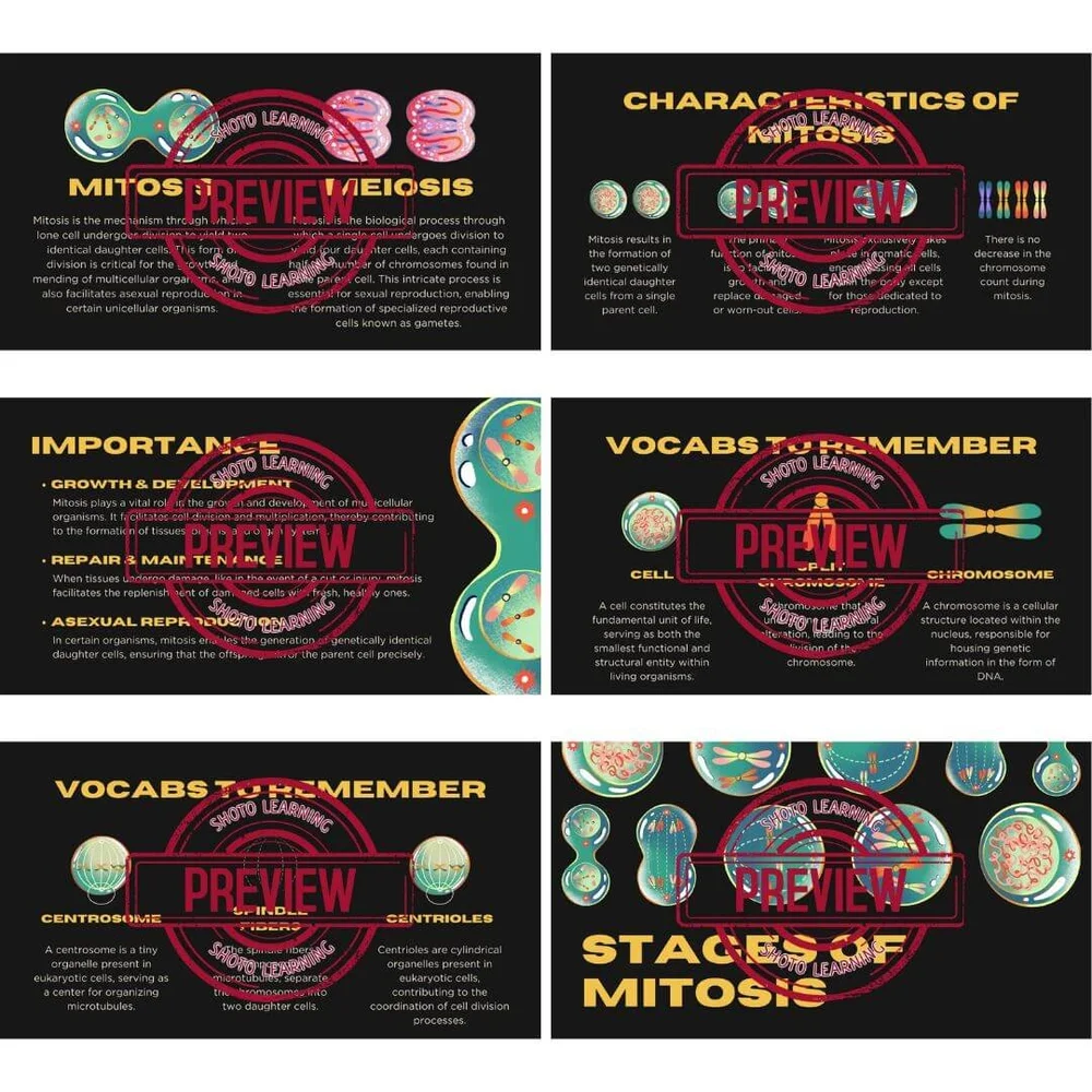Mitosis Quest: Engaging Word Search Puzzle Worksheet for Students