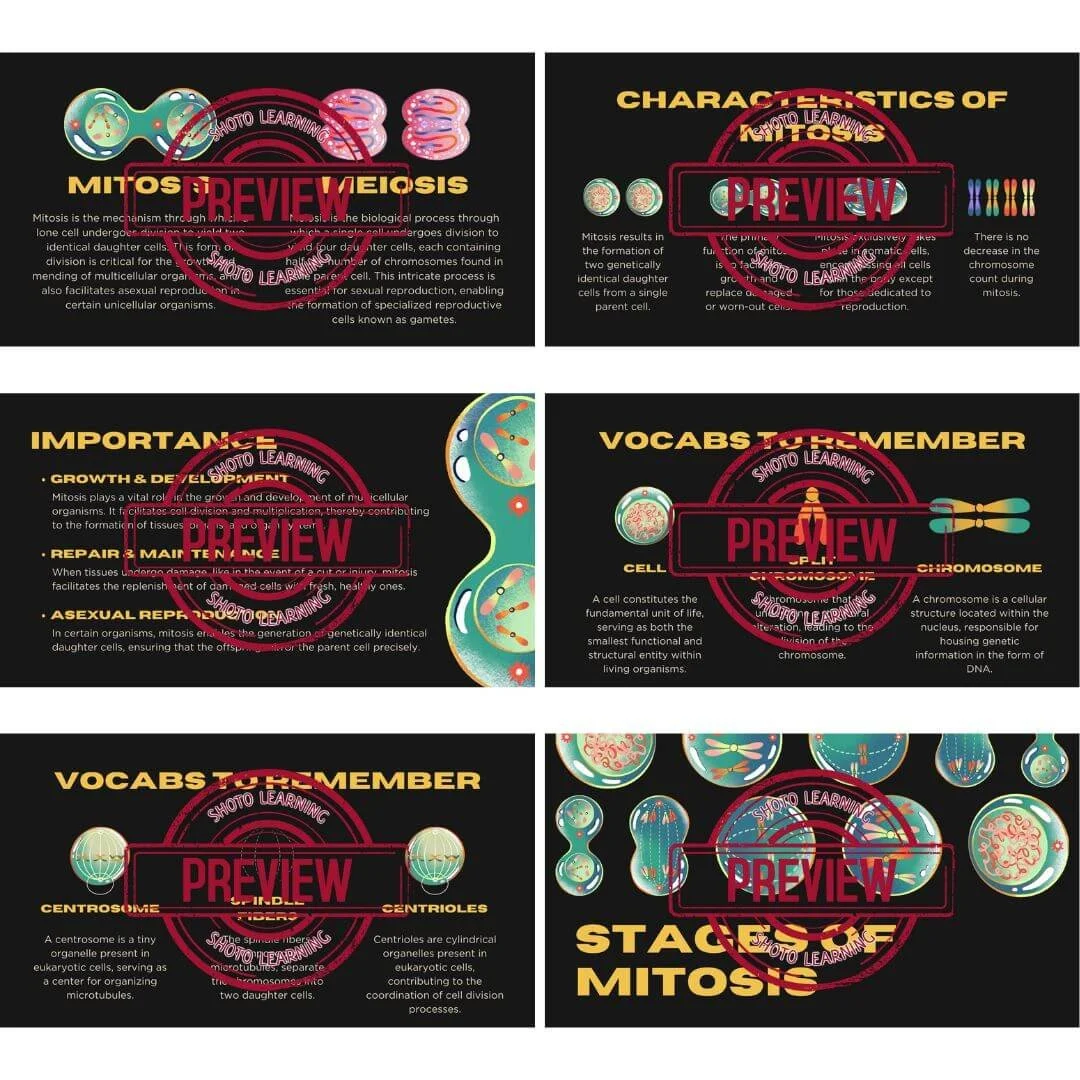 Plant Cell Mitosis Cut and Paste Activity for Hands-On Learning
