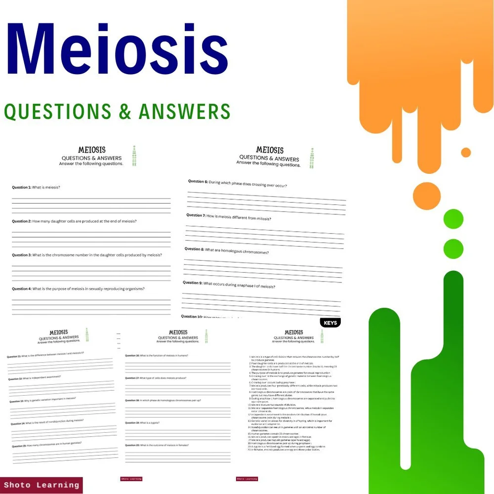 Meiosis Worksheet: 20 Fill-in-the-Blank Questions + Answer Key