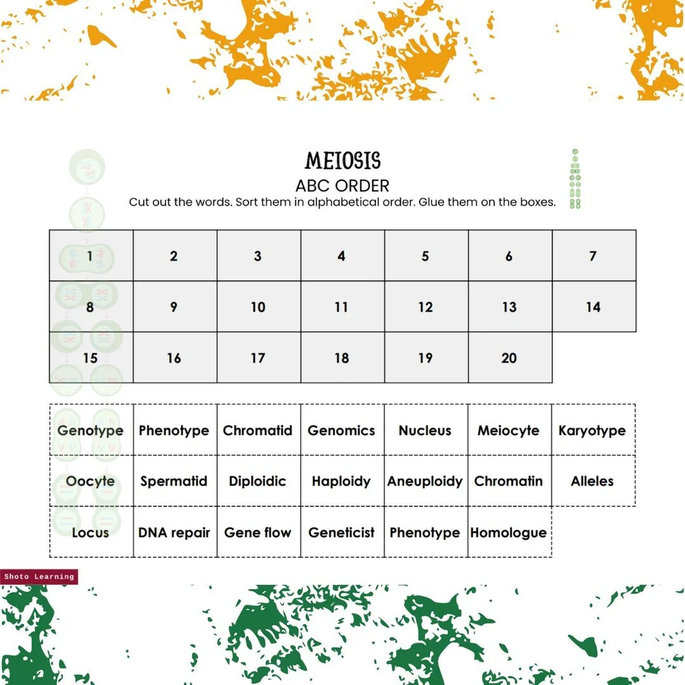 Meiosis Short Questions & Answers Worksheet | 20 Questions PDF