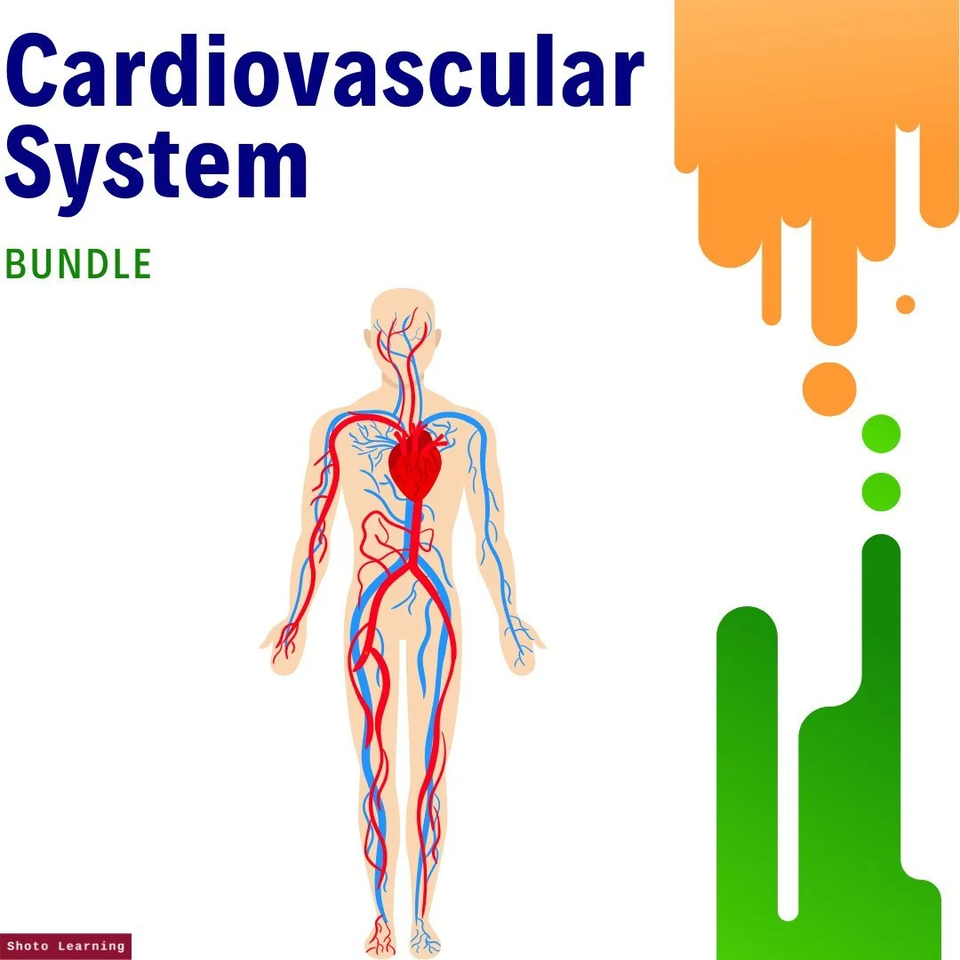 Cardiovascular System Test – 45-Minute Assessment with Answers