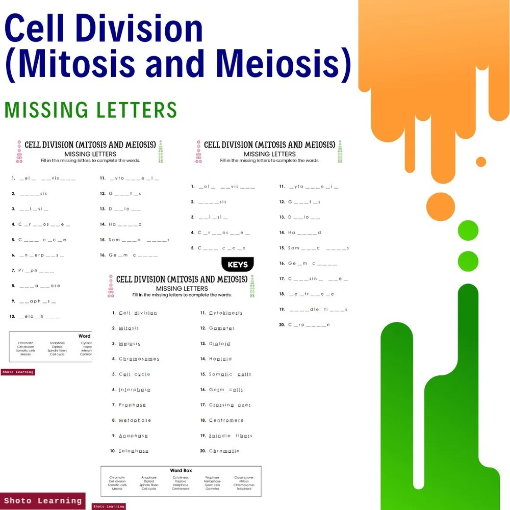 Cell Division Mitosis And Meiosis Worksheet